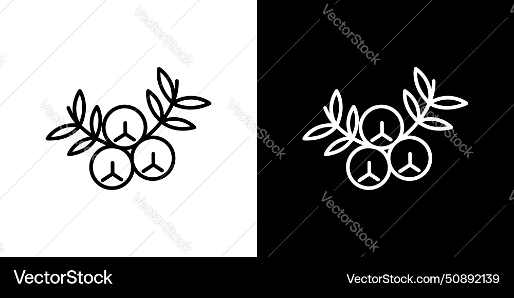 Juniper icon set berry gin blueberry symbol Vector Image