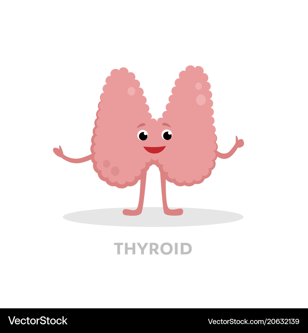 Strong healthy thyroid gland cartoon character Vector Image