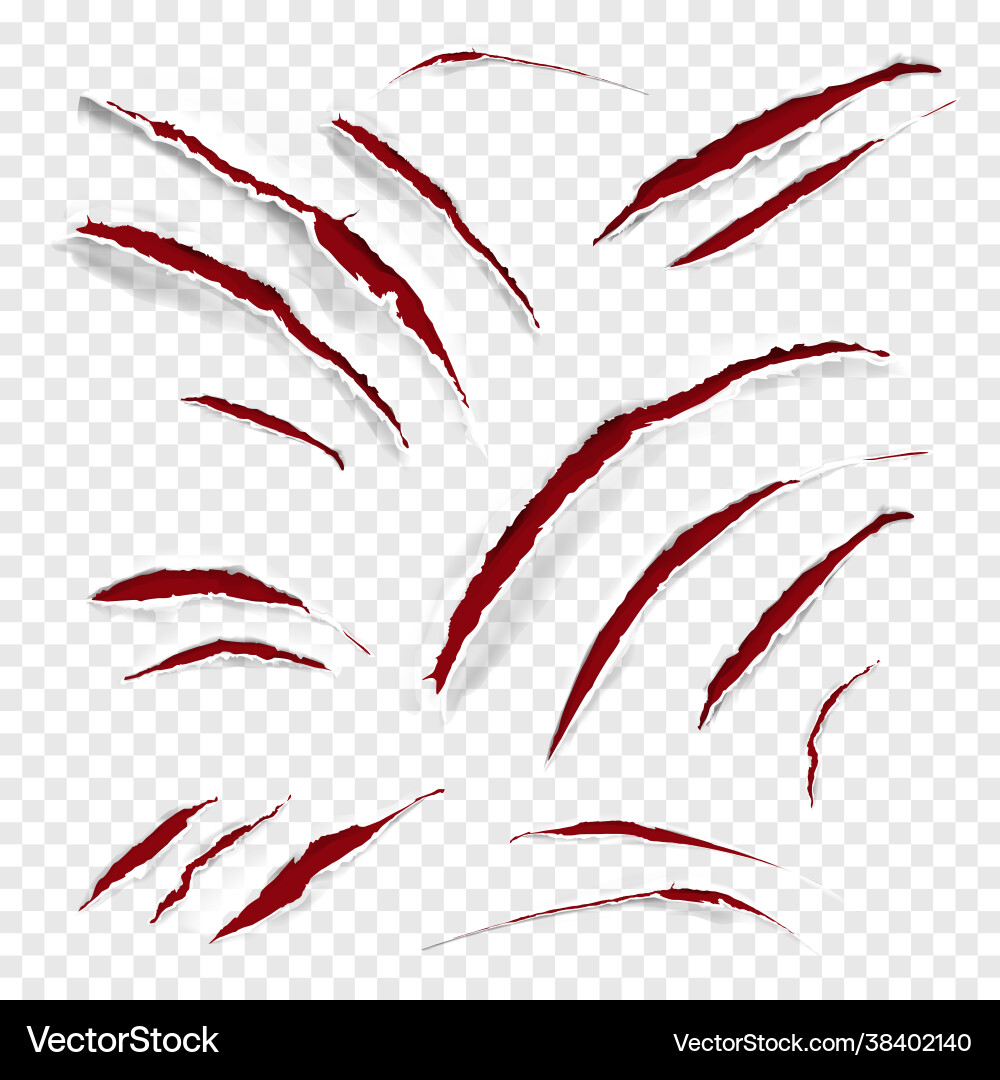 Claw scratches Royalty Free Vector Image - VectorStock