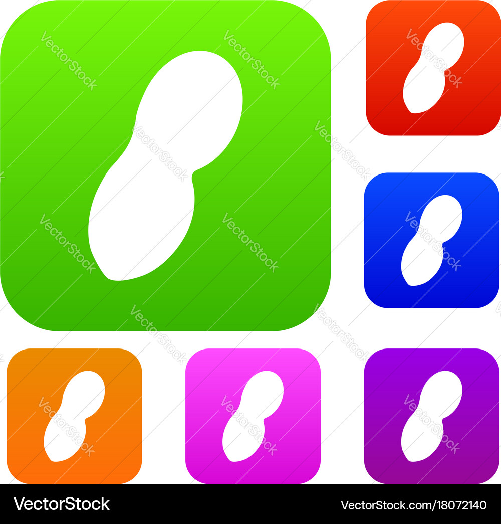Peanut set color collection Royalty Free Vector Image