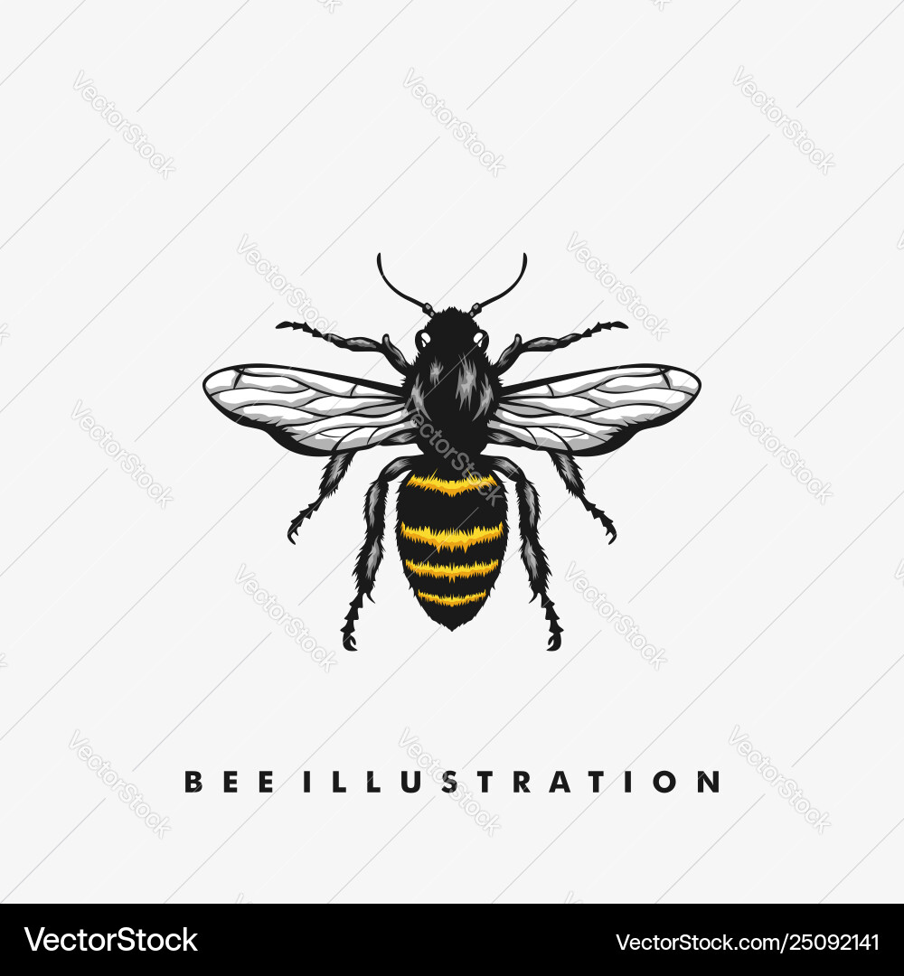 Bee design template Royalty Free Vector Image - VectorStock
