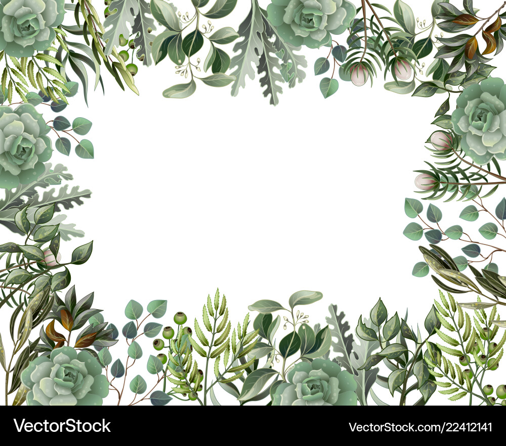 Border and frame with leaves succulent Royalty Free Vector