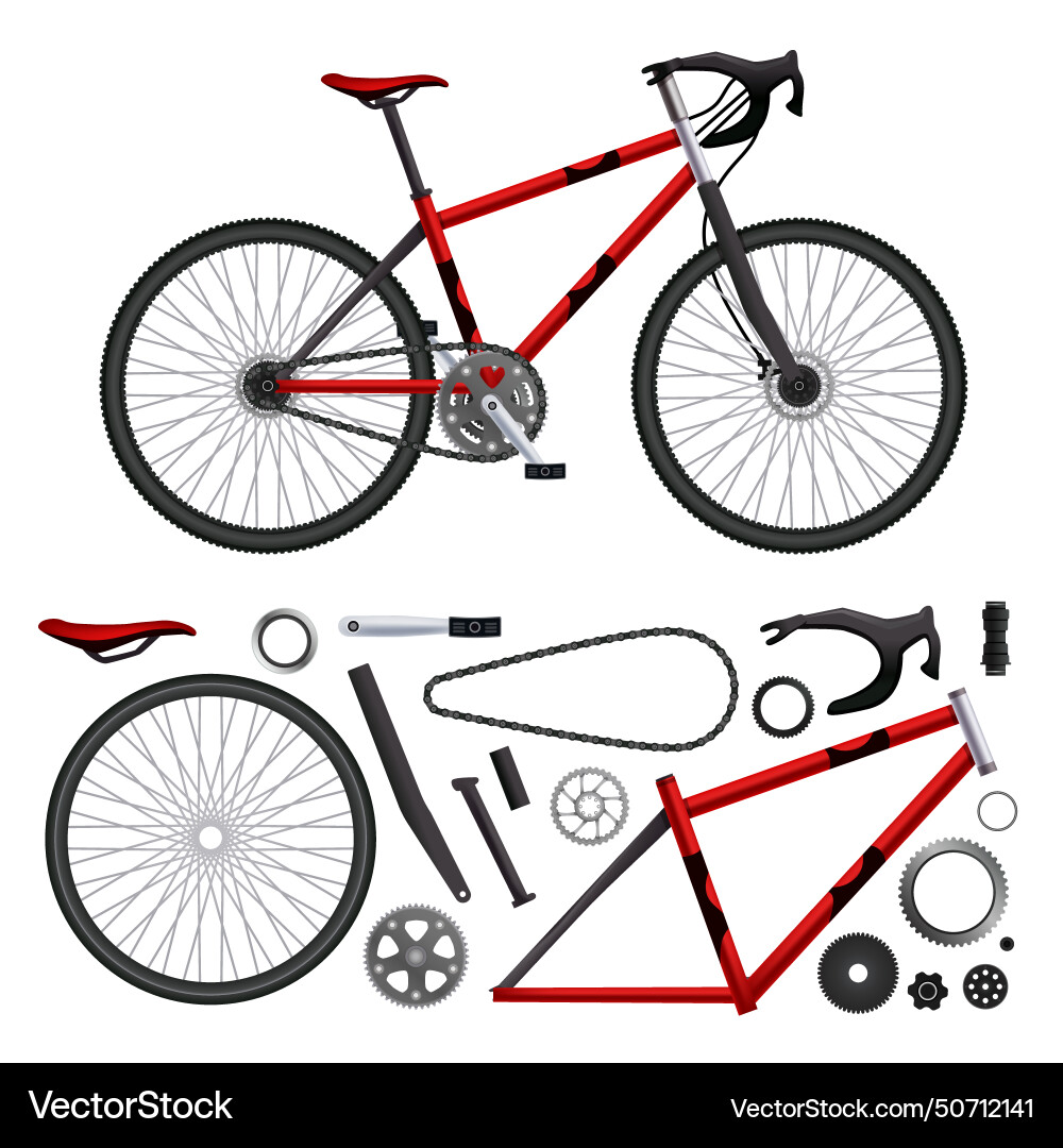 Realistic bicycle parts set Royalty Free Vector Image