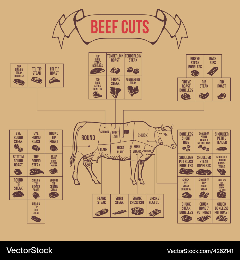 Butcher Diagram Vector Images (over 1,700)