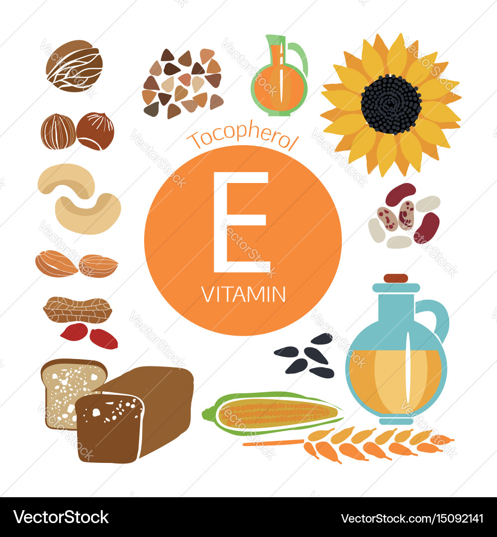 Vitamin e Royalty Free Vector Image - VectorStock