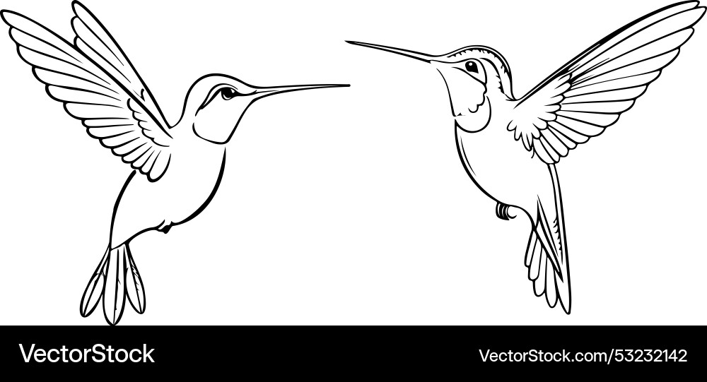 Hand drawn hummingbird outline Royalty Free Vector Image