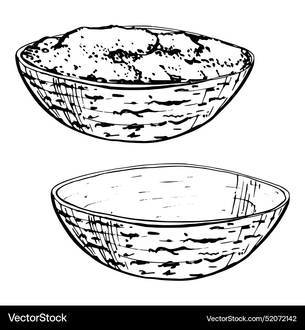 Hand drawn ink bowl empty and with sauce salsa Vector Image