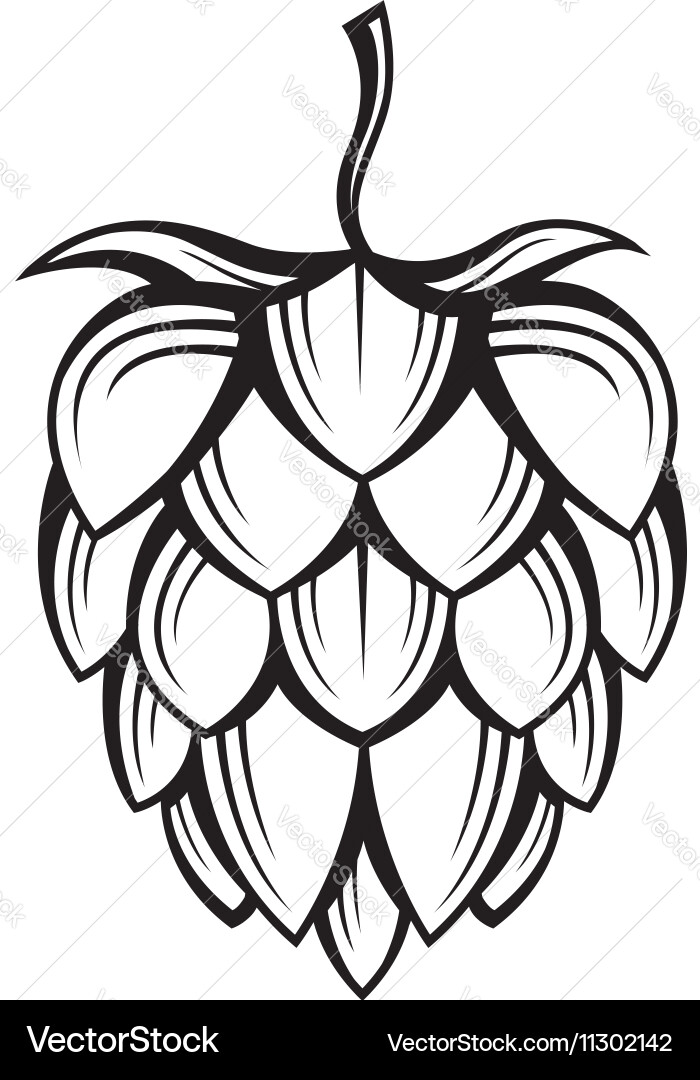 Image of hop Royalty Free Vector Image - VectorStock