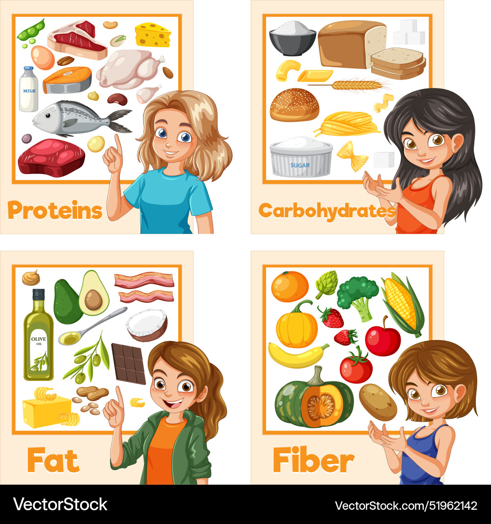 Proteins carbohydrates fats and fiber Royalty Free Vector