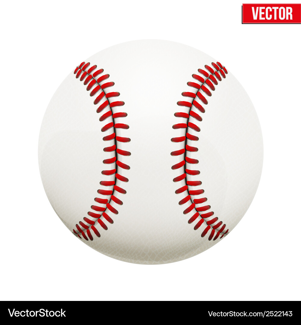 Baseball leather ball Royalty Free Vector Image