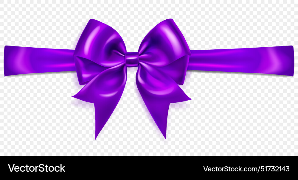 Large beautiful bow with horizontal ribbon Vector Image