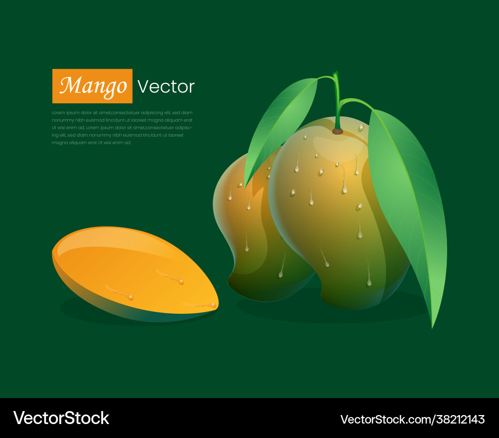 Mango realistic Royalty Free Vector Image - VectorStock