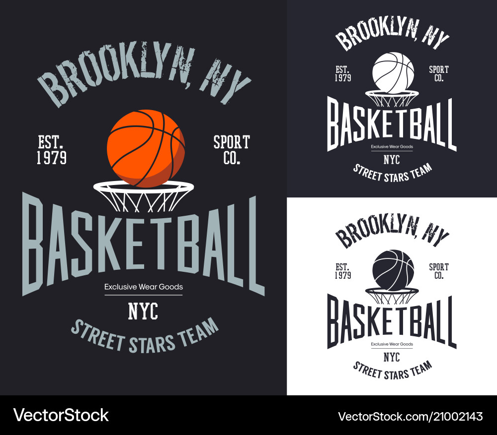 Streetball Team Badge & Sign Collection Vector Image