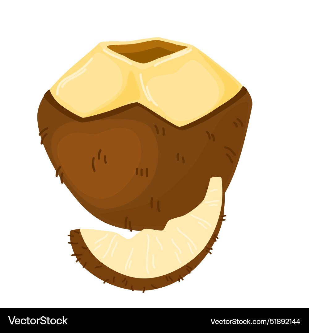 2105 coconut Royalty Free Vector Image - VectorStock
