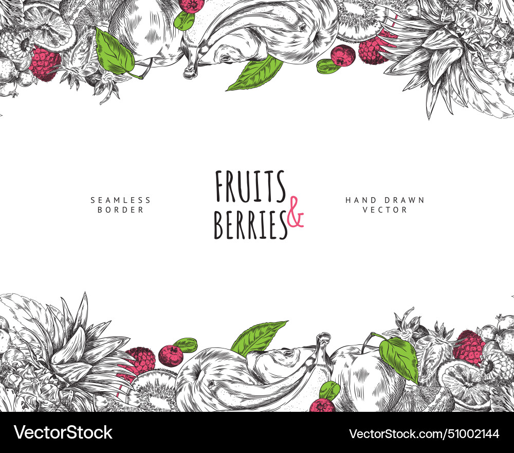 Seamless border with juicy tropical fruits Vector Image