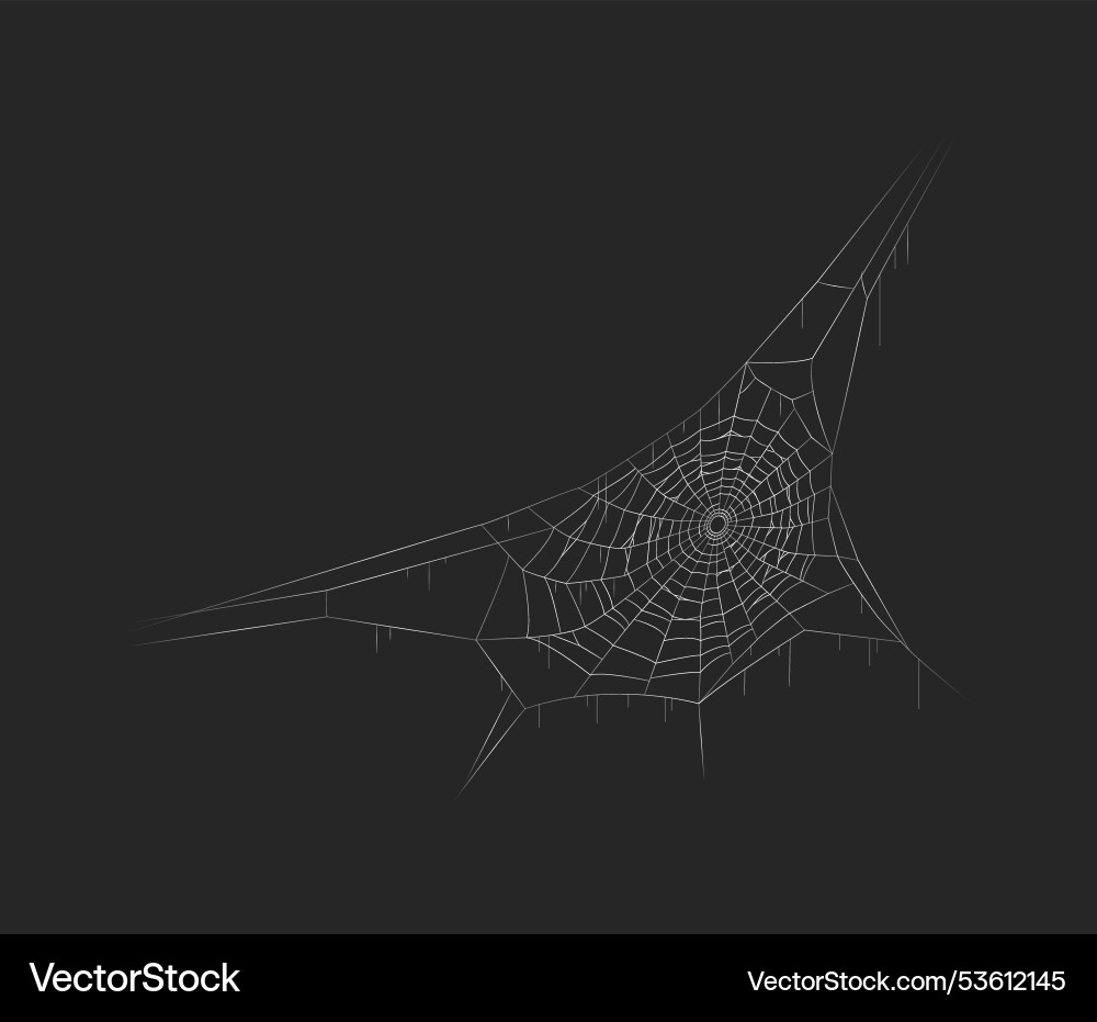 Spiderweb halloween creepy decor realistic Vector Image