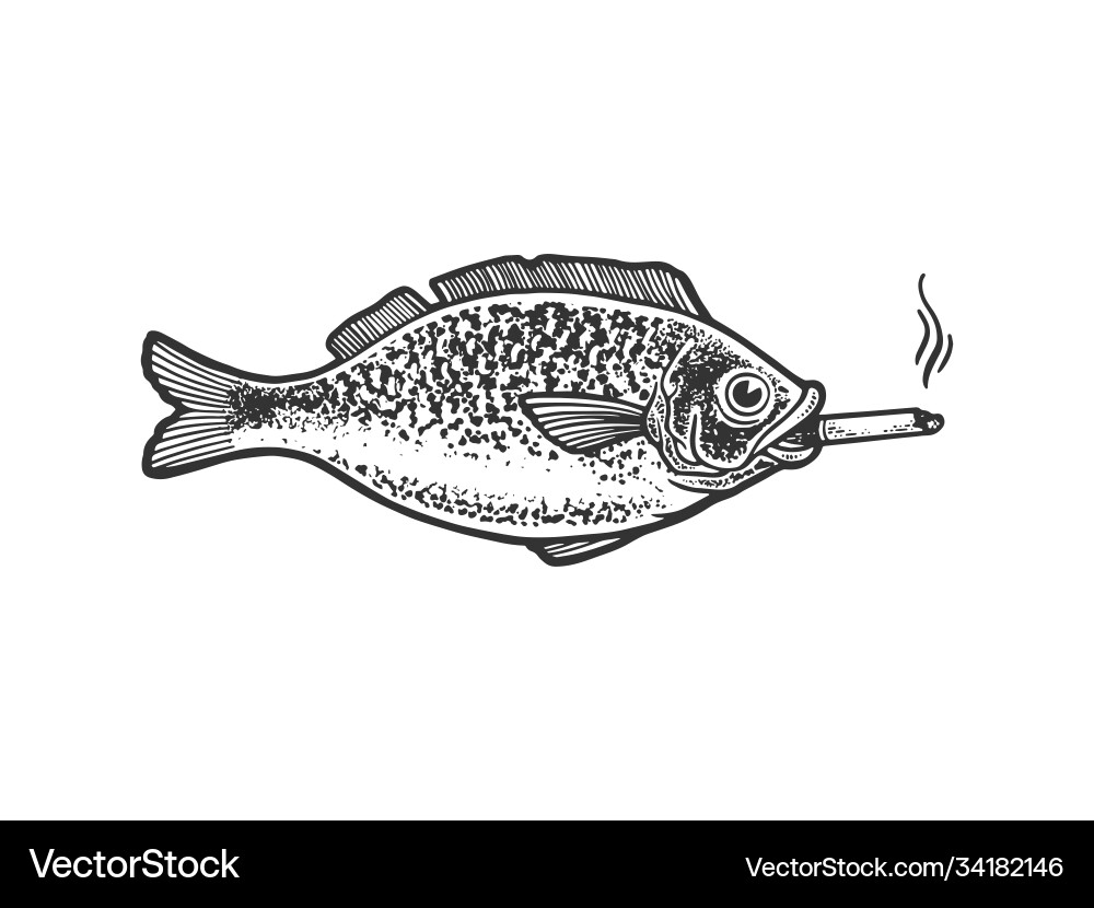 Fish smokes a cigarette sketch Royalty Free Vector Image