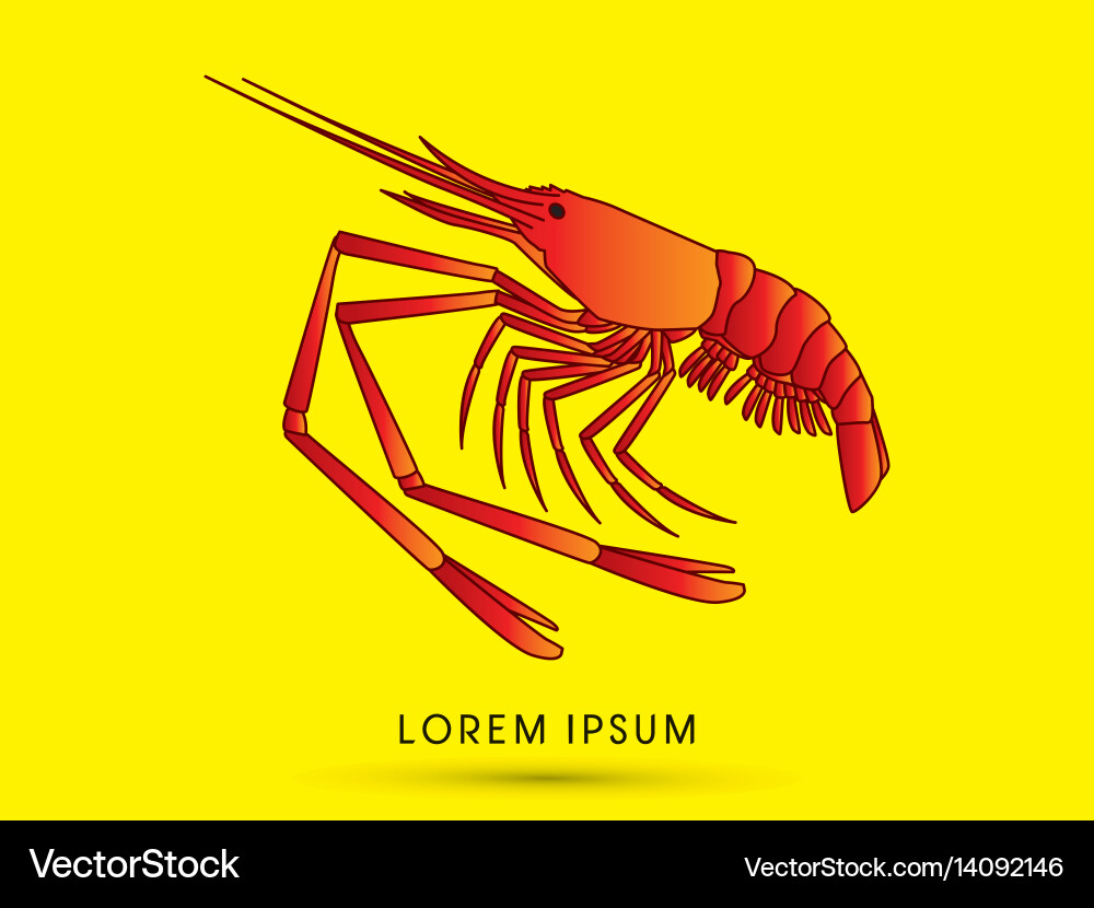 Giant freshwater prawn Royalty Free Vector Image