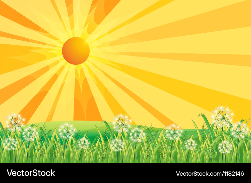 Sunshine field Royalty Free Vector Image - VectorStock