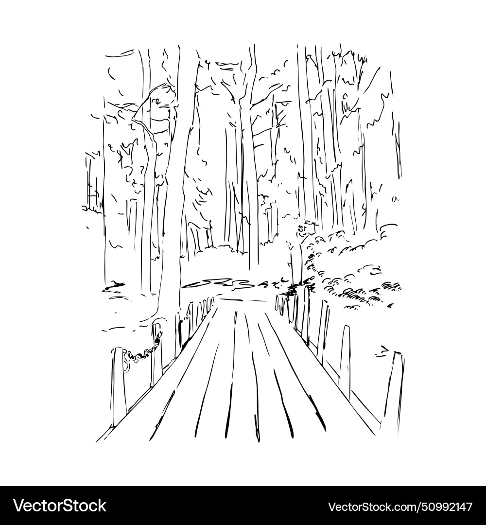 Bridge going into the forest Royalty Free Vector Image