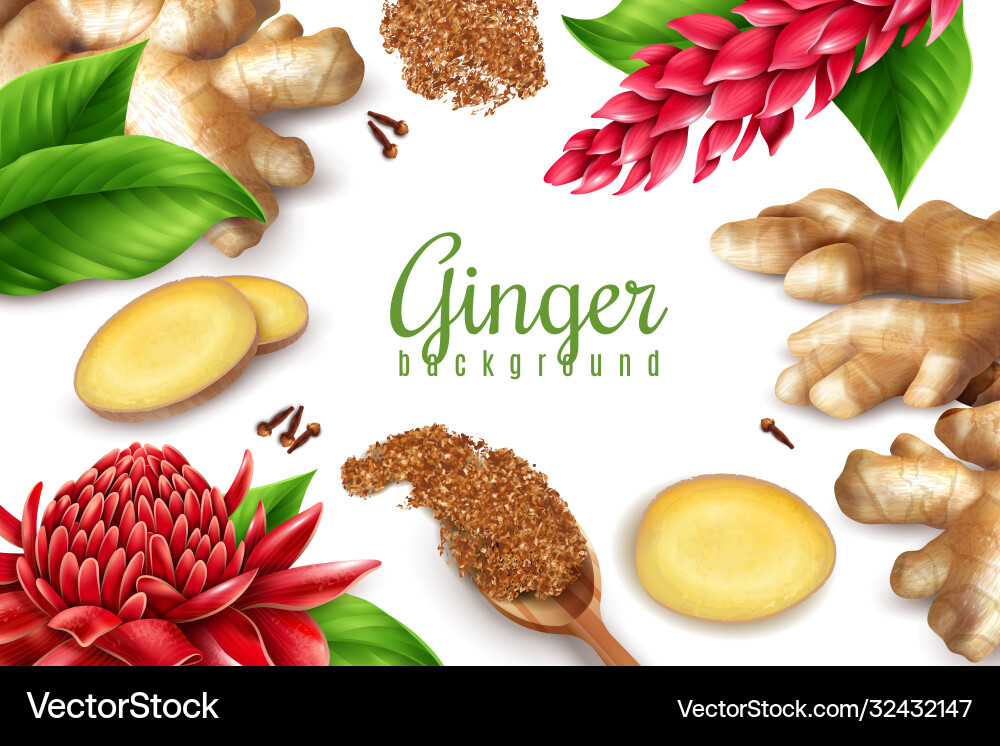 Ginger realistic background frame Royalty Free Vector Image