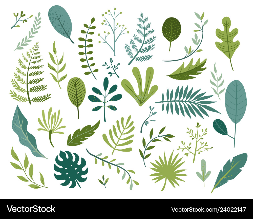 Set of different tropical and other isolated Vector Image