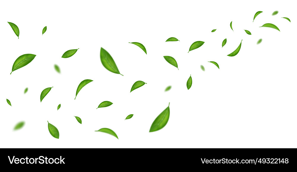 Flying leaves green realistic leaf isolated Vector Image