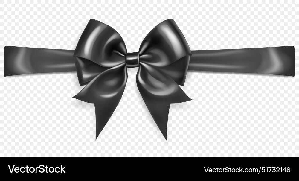 Large beautiful bow with horizontal ribbon Vector Image