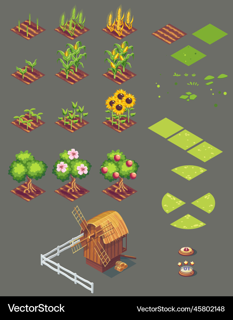 Set growth phases Royalty Free Vector Image - VectorStock