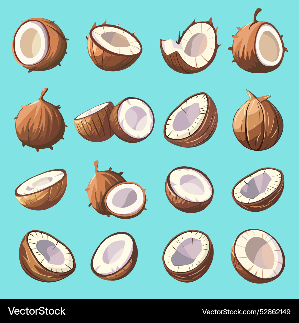 Cartoon coconuts set coconut exotic tropical Vector Image