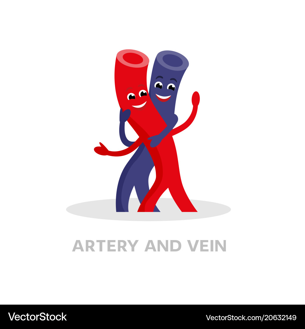Blood Vessels Cartoon Cartoon Image Of Blood Vessels With Cholesterol