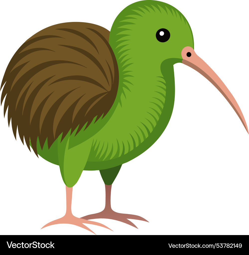 Kiwi bird animal Royalty Free Vector Image - VectorStock