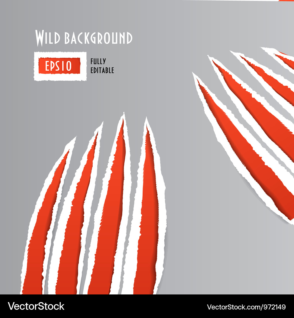 Ripped Paper with Claw Marks Royalty Free Vector Image