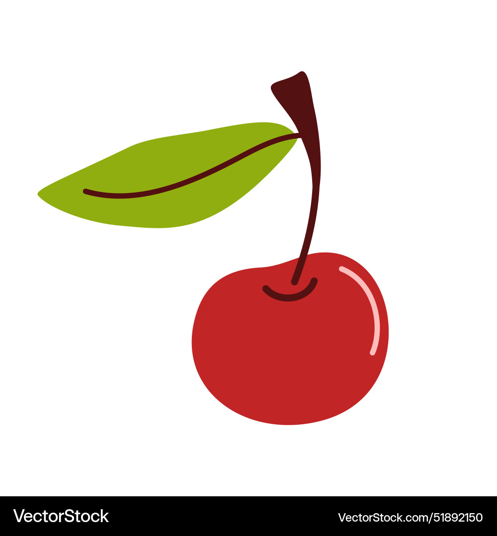 2111 cherry Royalty Free Vector Image - VectorStock