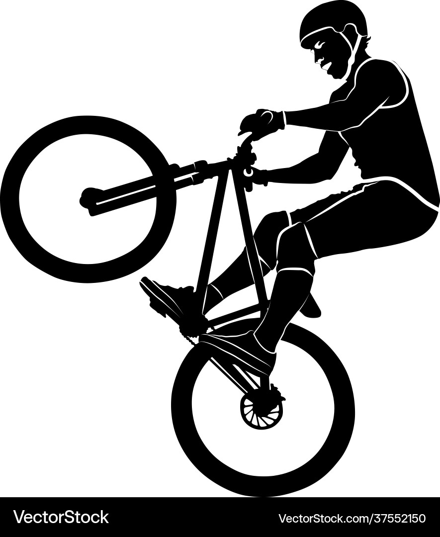 Bicyclist Royalty Free Vector Image - VectorStock