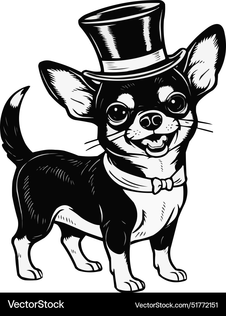 Cartoon dog in hat Royalty Free Vector Image - VectorStock