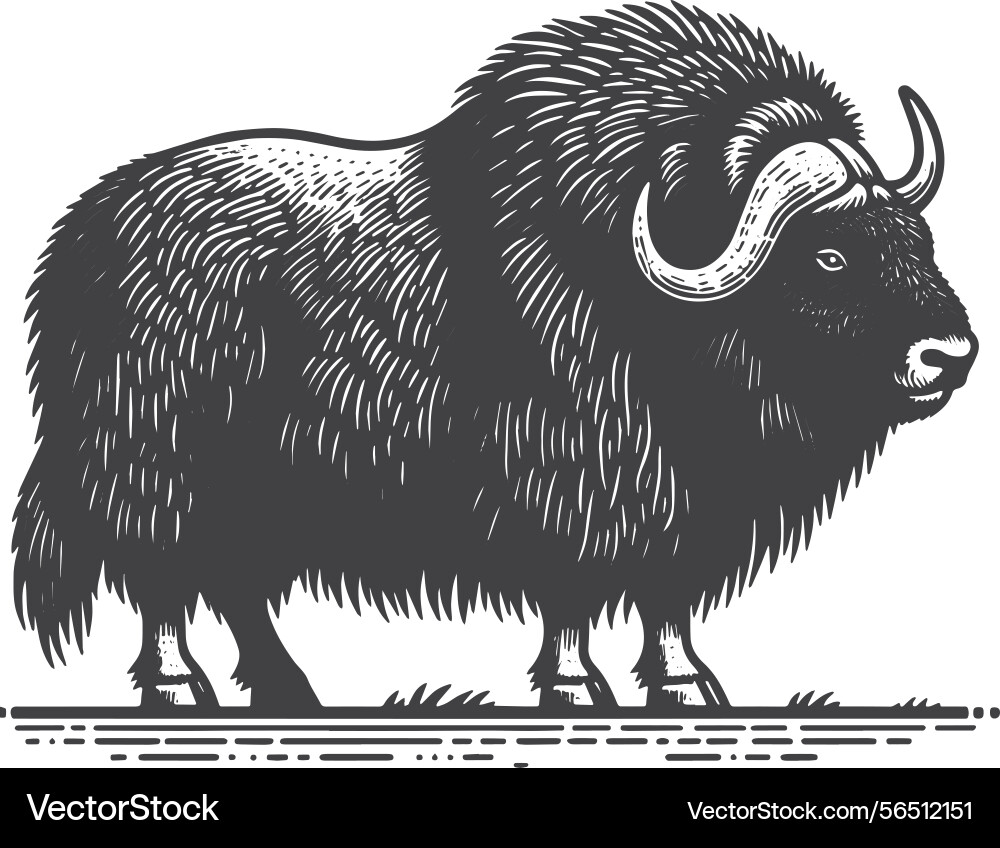 Simple musk ox side view icon design vintage Vector Image