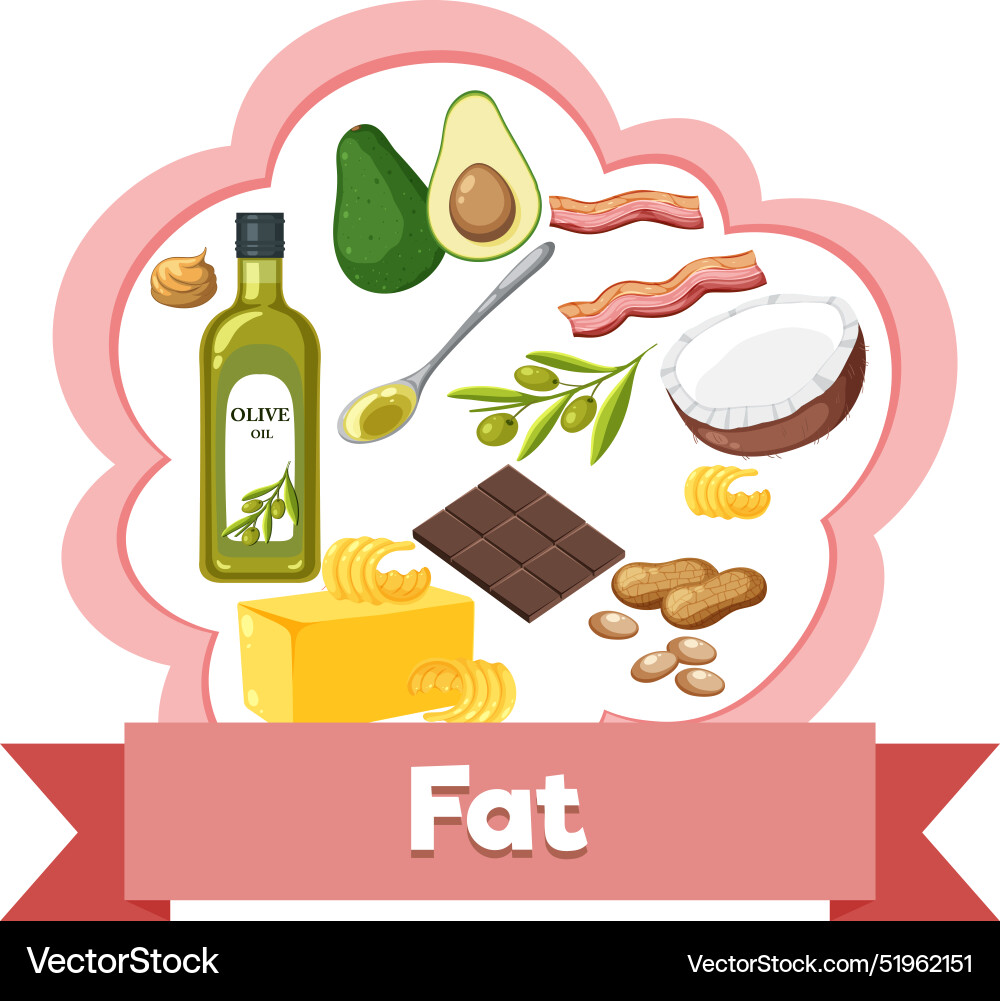 Various healthy fat sources Royalty Free Vector Image