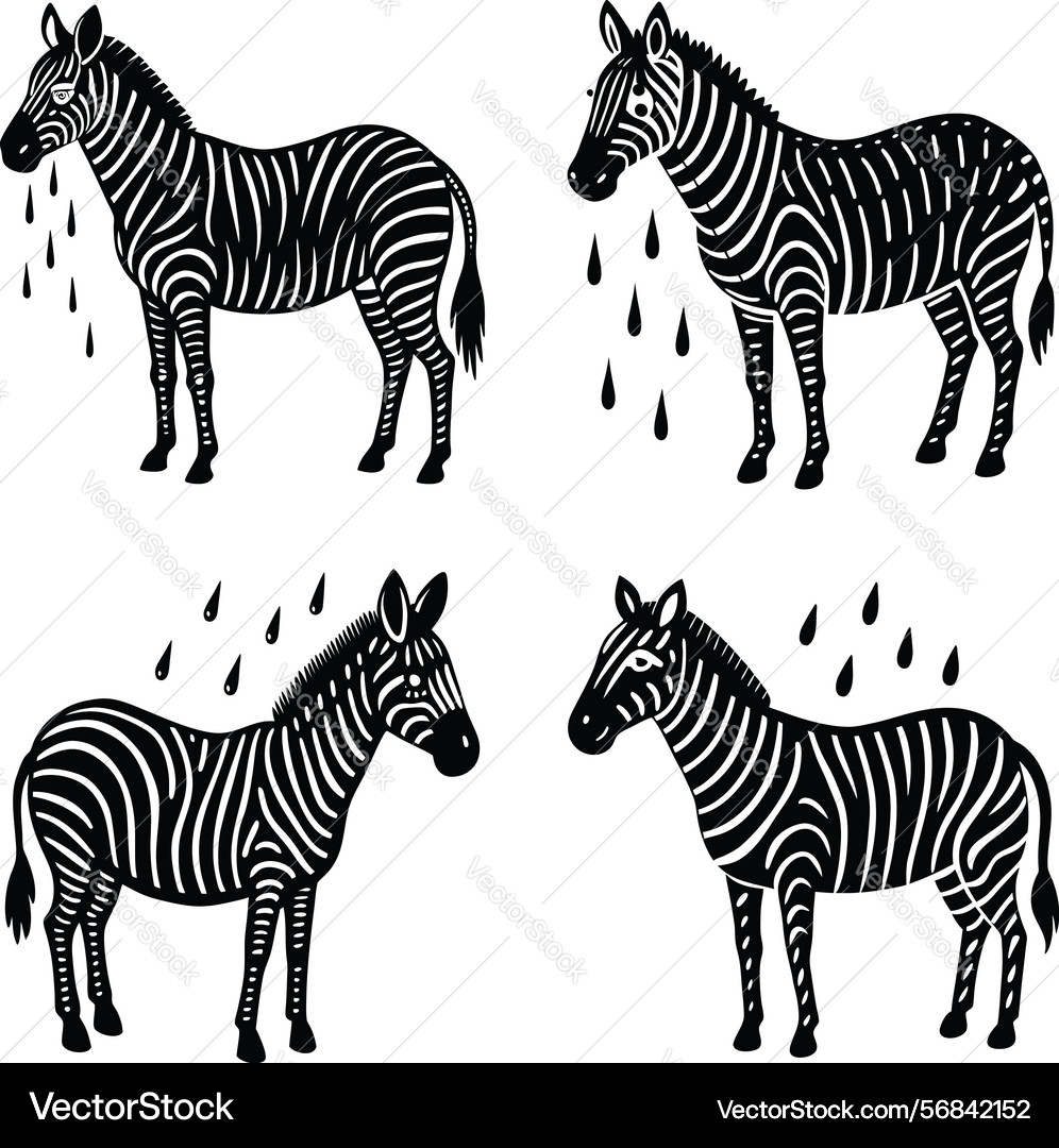 Cute cartoon zebra set in different poses Vector Image