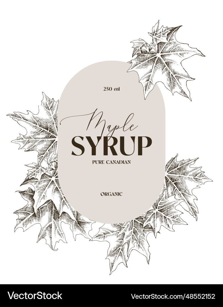 Maple syrup label template Royalty Free Vector Image