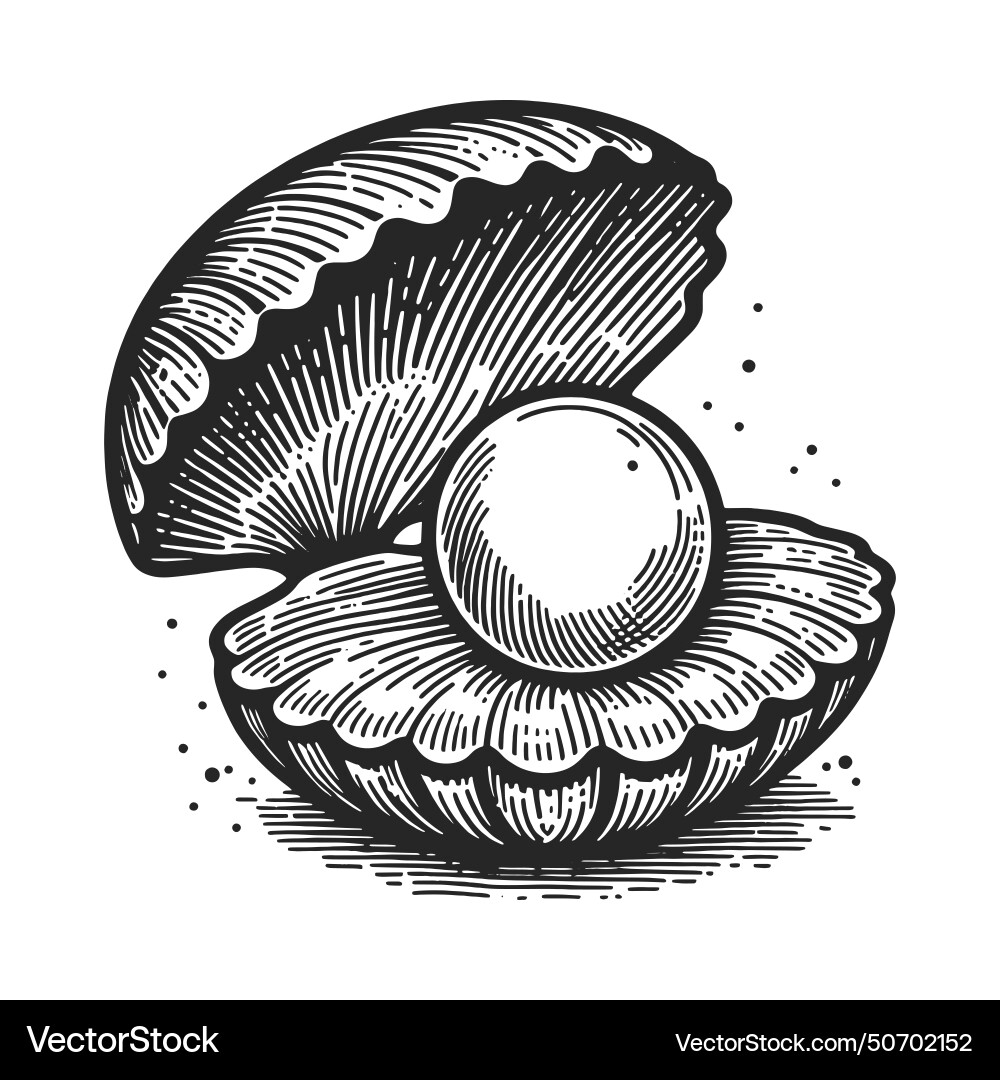 Pearl in open oyster shell engraving Royalty Free Vector