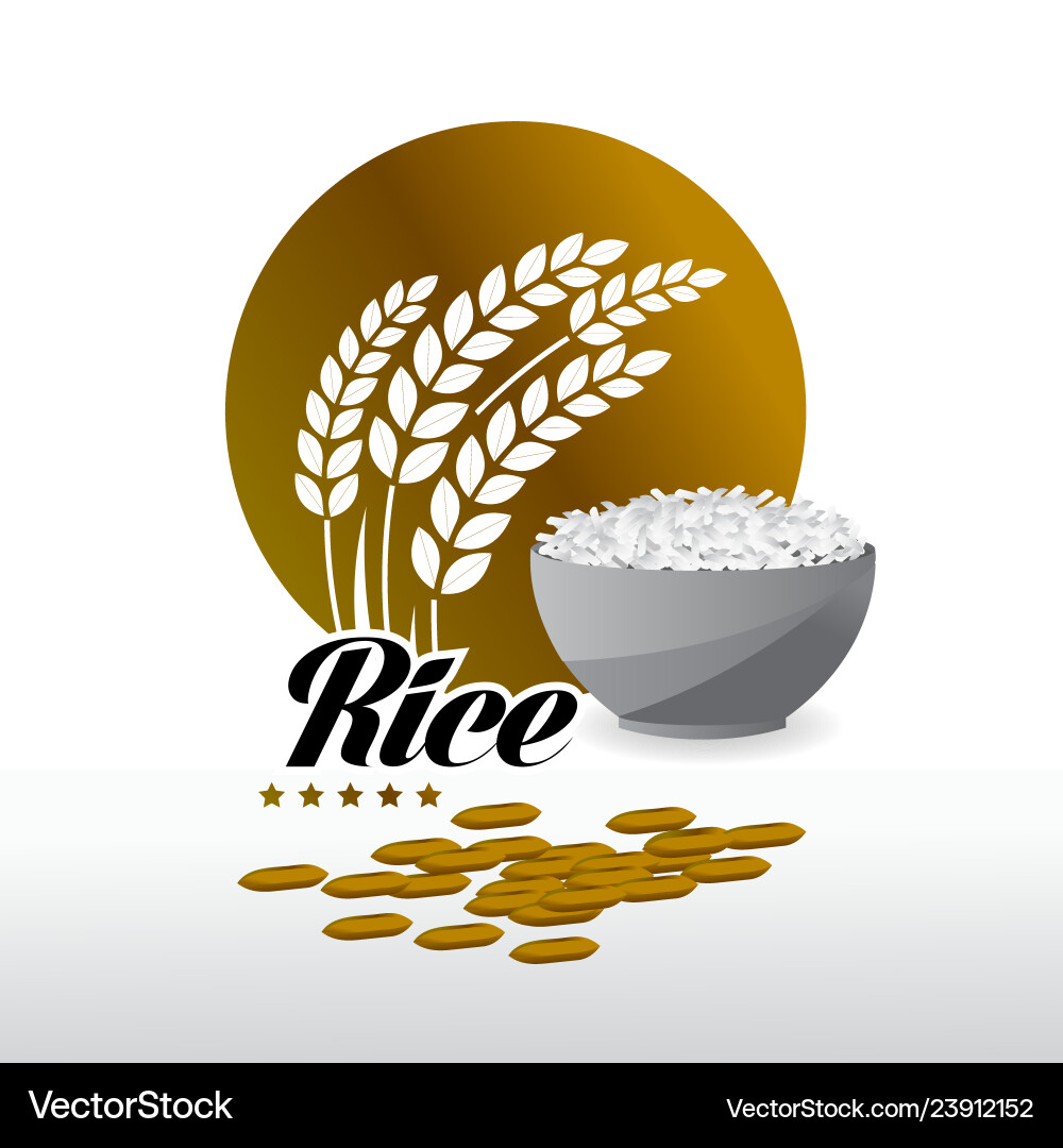 Premium rice great quality design concept Vector Image
