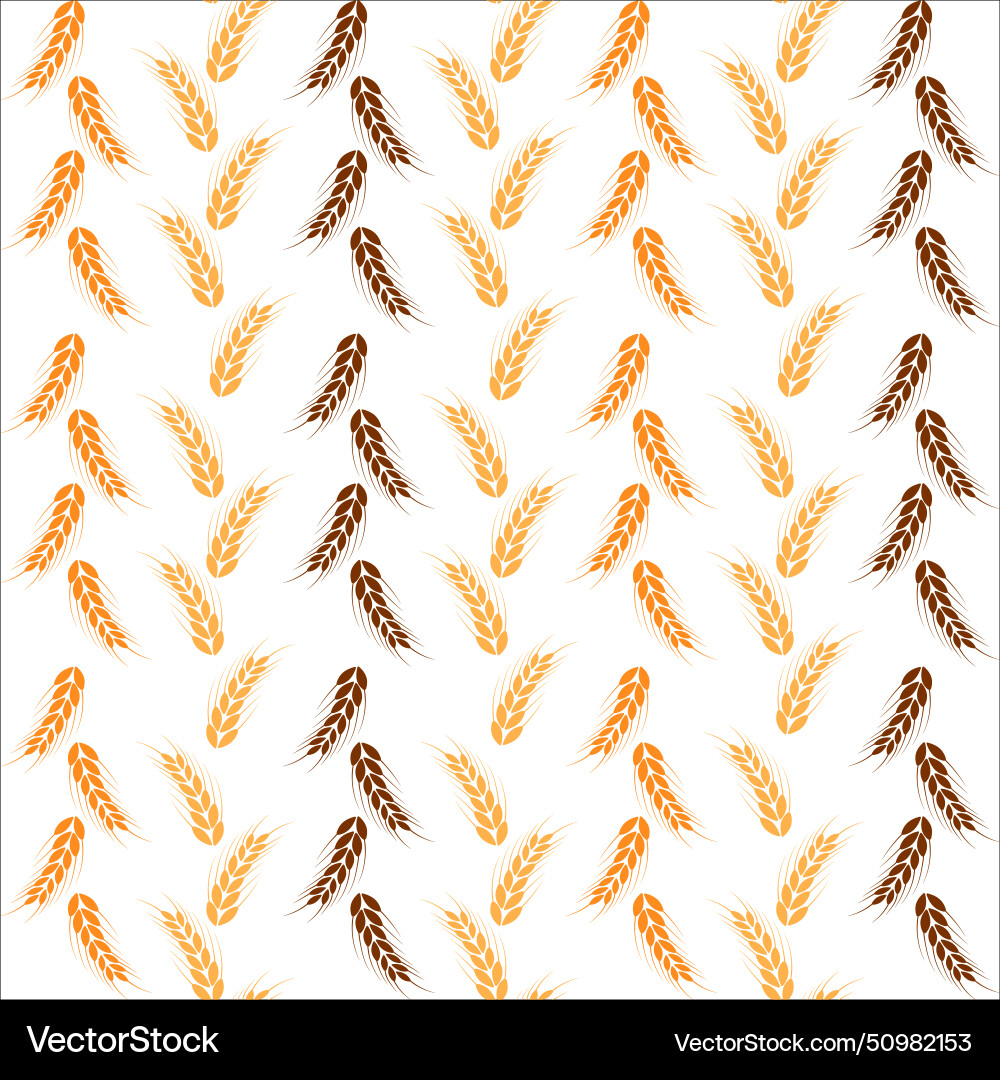 Seamless pattern of wheat ears on a white Vector Image