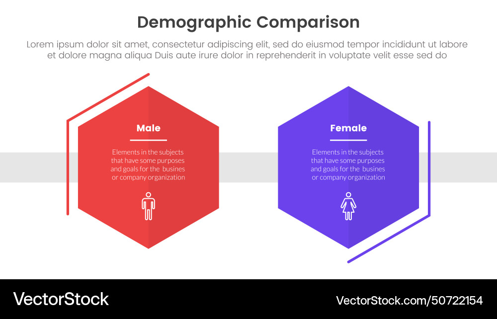 Demographic man vs woman comparison concept Vector Image