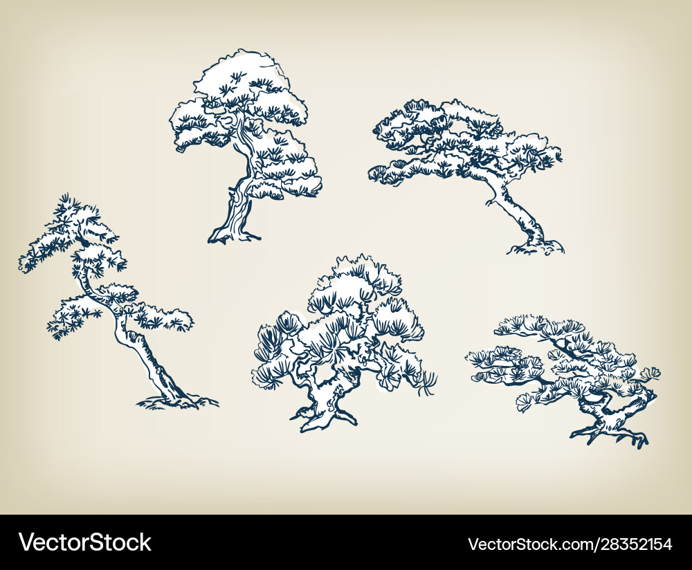 Japanese Pine Tree Drawing