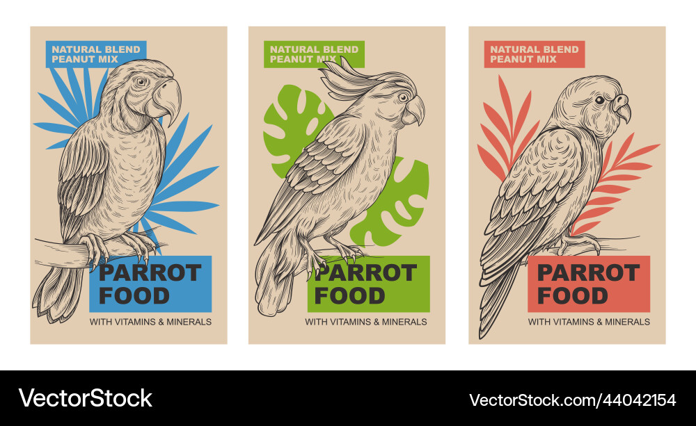 Pet bird food packaging design set Royalty Free Vector Image