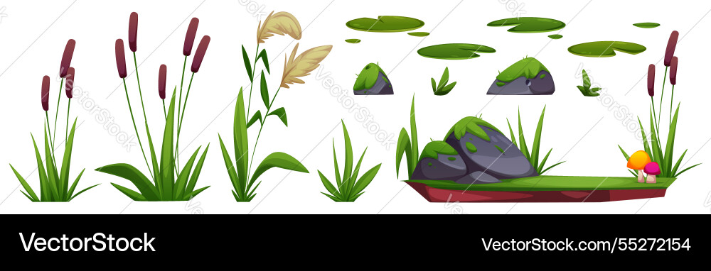 Wetland nature collection Royalty Free Vector Image