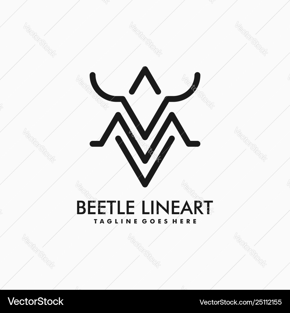 Detailed Beetle Template Royalty Free Vector Image