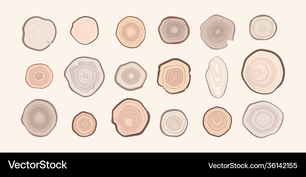 Wooden rings collection tree stylized Royalty Free Vector