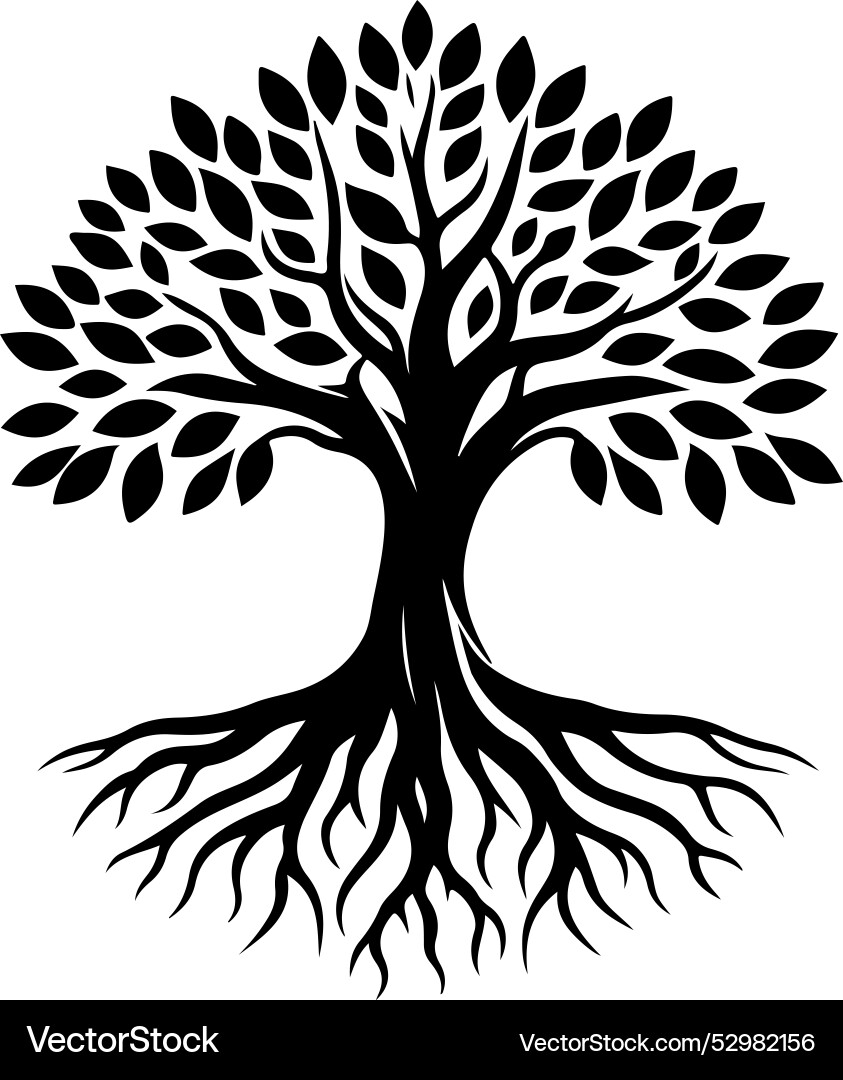 Palm Tree Roots Vector Images (over 350)